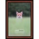 Panoramic Simple Brown Picture Frame - UV Acrylic, Foam Board Backing ...