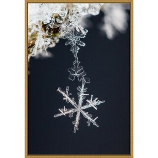 Pendant (Snowflake) by Sami Ritoniemi Framed Canvas Art - Bed Bath ...