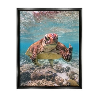 Stupell Angry Turtle Middle Finger Framed Floater Canvas Wall Art ...