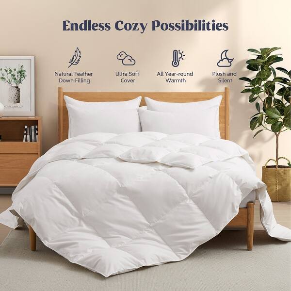 Bed Bath And Beyond Duvet Insert