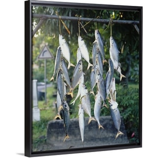 "Dead fish hanging from a pole, Tahiti" Black Float Frame Canvas Art ...