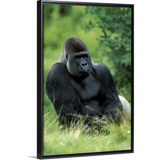 "Gorilla" Black Float Frame Canvas Art - Bed Bath & Beyond - 25505151