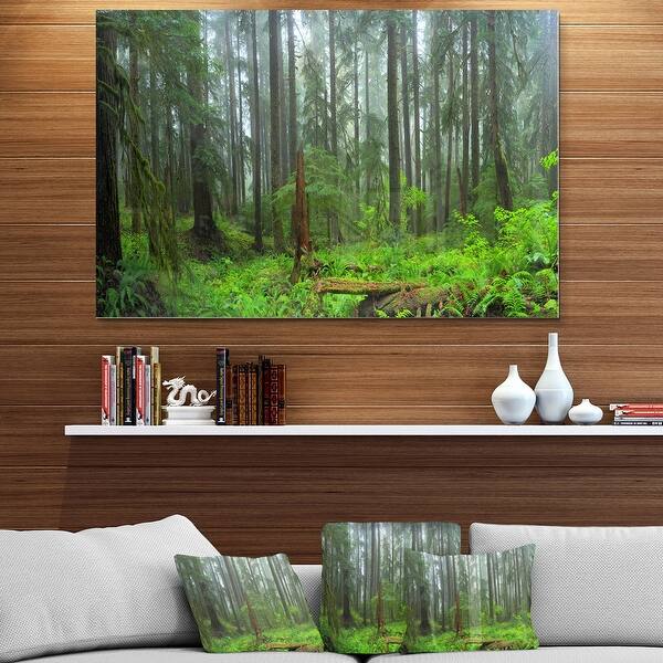 Designart 'Hoh Rain Forest' Landscape Photography Metal Wall Art - Bed ...