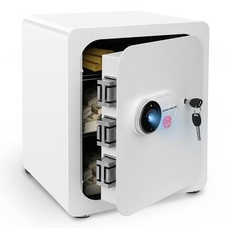 2.05 Cu Ft Safe Box for Valuables, Home Security Box with FINGERPRINT ...