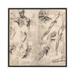 iCanvas "Sketchbook Studies of Human Body Collage" by Leonardo da Vinci ...