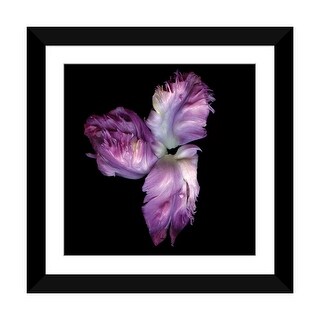 iCanvas "Parrot Purple IV" by Magda Indigo PFA - Bed Bath & Beyond ...