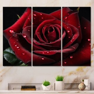 Designart "Red Rose with Raindrops V" Floral Canvas Print Set - Bed ...