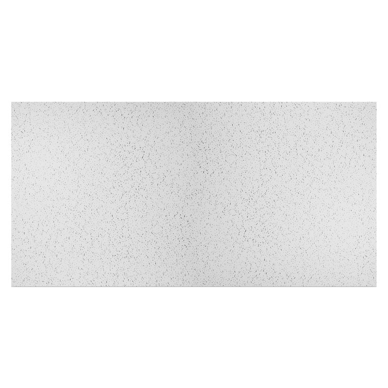Genesis Smooth Pro White 2 x 4-foot Lay-in Ceiling Tile - Overstock ...