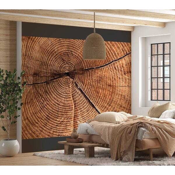 Surface Texture Wallpaper Wall Mural - Tree Trunk Cross Section - Bed ...