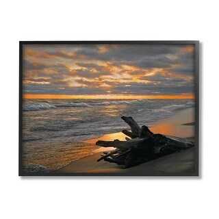 Stupell Driftwood at Sunset Framed Giclee Art Design by Steve Toole - Bed Bath & Beyond - 40021236