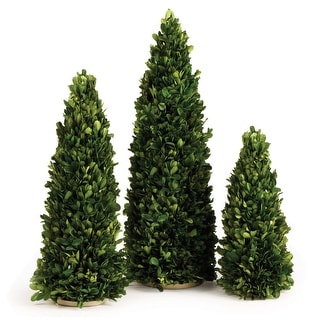 Boxwood Mini Trees, Set Of 3 - Bed Bath & Beyond - 33008372