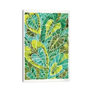iCanvas "Green Schismatoglottis Calyptrata" by Cat Coquillette Canvas ...