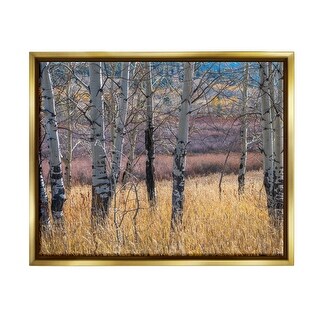 Stupell Birch Trees Photography Framed Floater Canvas Wall Art Design ...