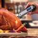 Pro-Temp Commercial Smoker BBQ Meat Thermometer, 5-Inch probe, White ...