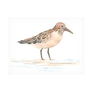 June Erica Vess 'Pretty Piper III' Canvas Art - Bed Bath & Beyond ...