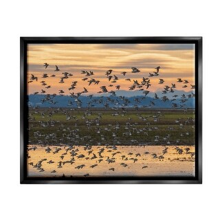 Stupell Flock of Birds Flying Lake Reflection Orange Sunset Floater ...
