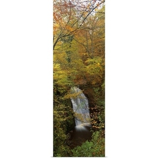 "Waterfall in a forest, Falling Foss, Whitby, England" Poster Print ...