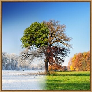Canvas Art Framed '4 seasons (Tree)' by Adam Brzuszek - Bed Bath ...