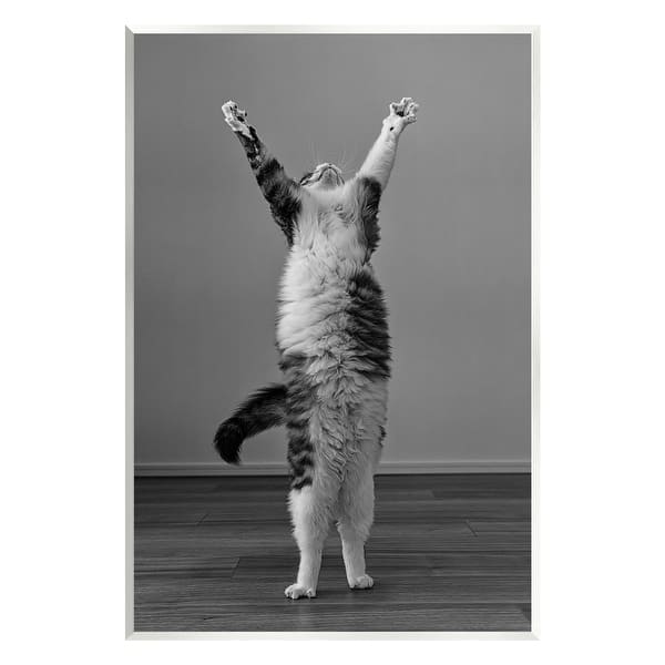Stupell Funny Cat Victory Pose Wall Plaque Art Design by Kazutoshi Ono ...