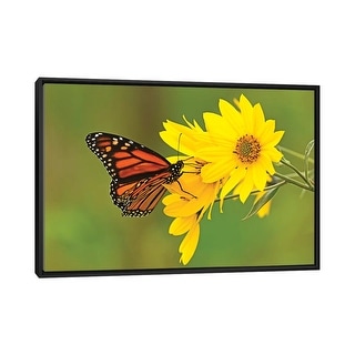 iCanvas "Sitting Pretty" by Brian Wolf Framed Canvas Print - Bed Bath ...