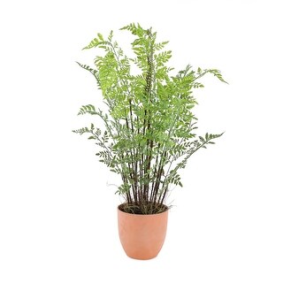 Potted Fern Plant (Set of 3) - 19 x 19 x 30 - Bed Bath & Beyond - 36667289
