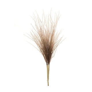 Grass Plume Bundle (Set of 2) - Bed Bath & Beyond - 43819255