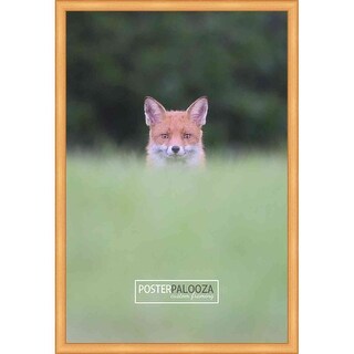 14x17 Traditional Antique Gold Complete Wood Picture Frame with UV ...