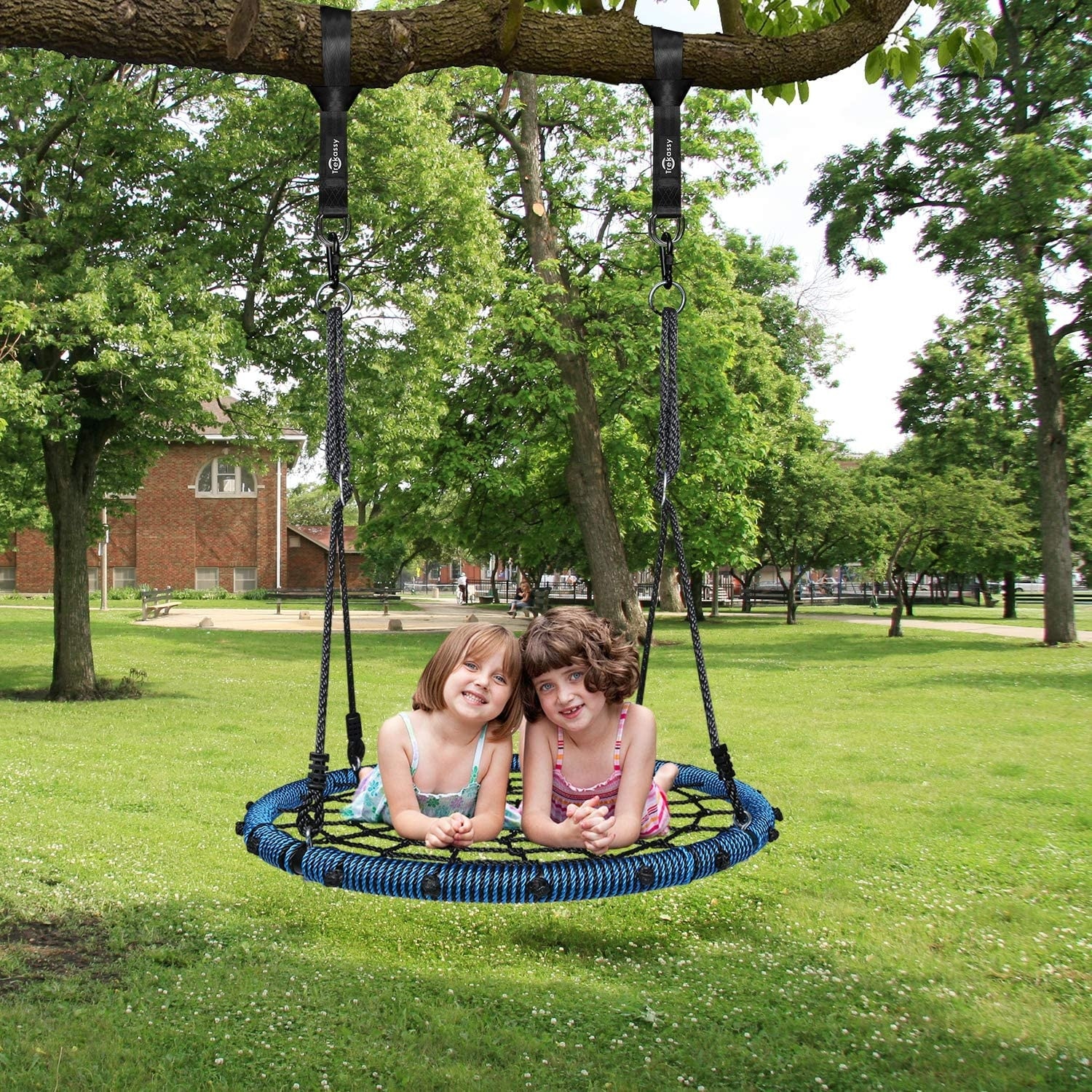 spider web swing with frame