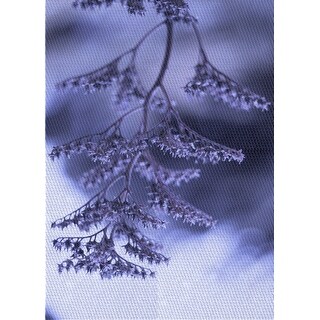 Ahgly Company Machine Washable Transitional Deep Periwinkle Purple Area ...