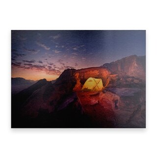 Debbie Hunt 'Bison In The Snow' Floating Brushed Aluminum Art - Bed ...