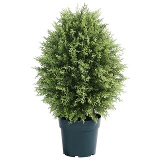 National Tree Company 32-Inch Artificial Cypress Mini Tree - Bed Bath ...