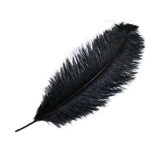Large Ostrich Feathers Centerpieces - Bed Bath & Beyond - 42367736
