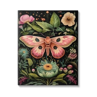 Stupell Vintage Botanical Moth Canvas Wall Art Design by The Dutch Lady ...