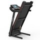 Electric Walking Treadmill Machine with Incline, 5" Lcd Screen, 250 Lb ...