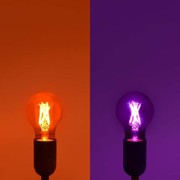 colourful light bulb