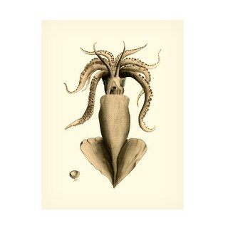 Frederick P. Nodder 'Creatures of the Sea IV' Canvas Art - Bed Bath ...