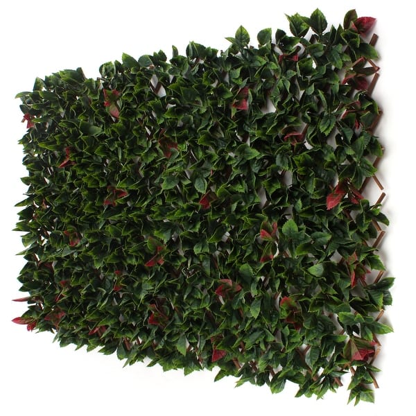 Red Tipped Photinia Trellis - 20 x 108 - Bed Bath & Beyond - 38461183