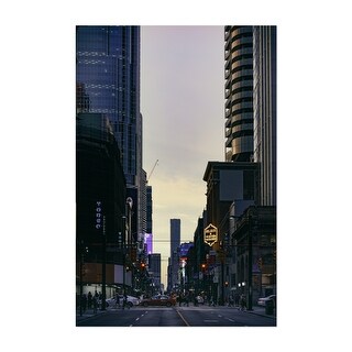 Toronto Ontario Canada Vertical sunset Photography Art Print/Poster ...