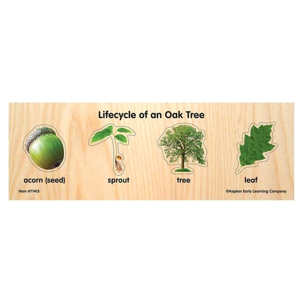 Kaplan Early Learning Life Cycle Puzzles - Set of 4 - Bed Bath & Beyond ...