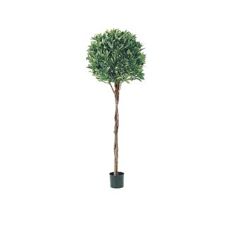 Pack of 2 Potted Artificial Bay Leaf Ball Topiaries 5' - Bed Bath ...