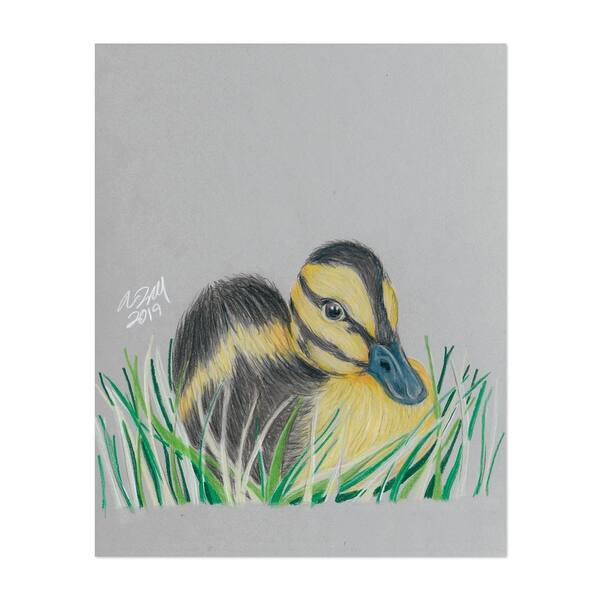 Baby Ducking Drawing Animals Birds Duckling Rustic Art Print/Poster ...