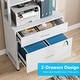 File Cabinet with 2 Drawer,Filing Cabinet Printer Stand, Bookshelves ...