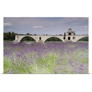 "Field of lavender, St. Benezet's Bridge, Rhone River, Avignon, France ...