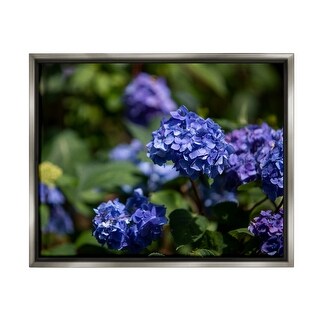 Stupell Purple Hydrangea Photography Framed Floater Canvas Wall Art ...