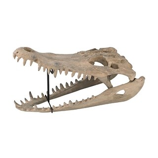 GuildMaster 2182-001 Cretaceous Composite Gator Skull Statue - Aged ...