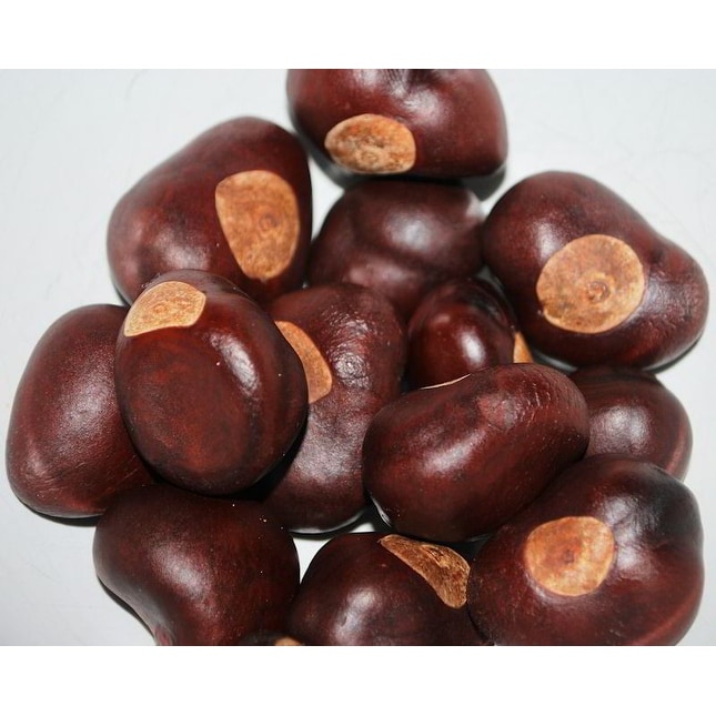 small red nuts