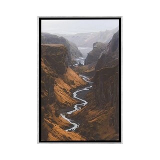 iCanvas "Cat's Spine" by Joe Shutter Framed - Bed Bath & Beyond - 37748741