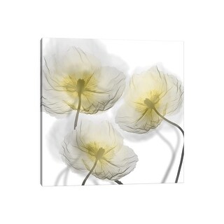 iCanvas "Unfocused Light I" by Albert Koetsier Canvas Print - Bed Bath ...