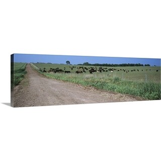 "Cows grazing in a field, Jackson County, Kansas" Canvas Wall Art - Bed ...