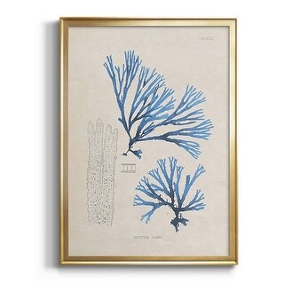 Blue Marine Algae V Premium Framed Print - Ready to Hang - Bed Bath ...
